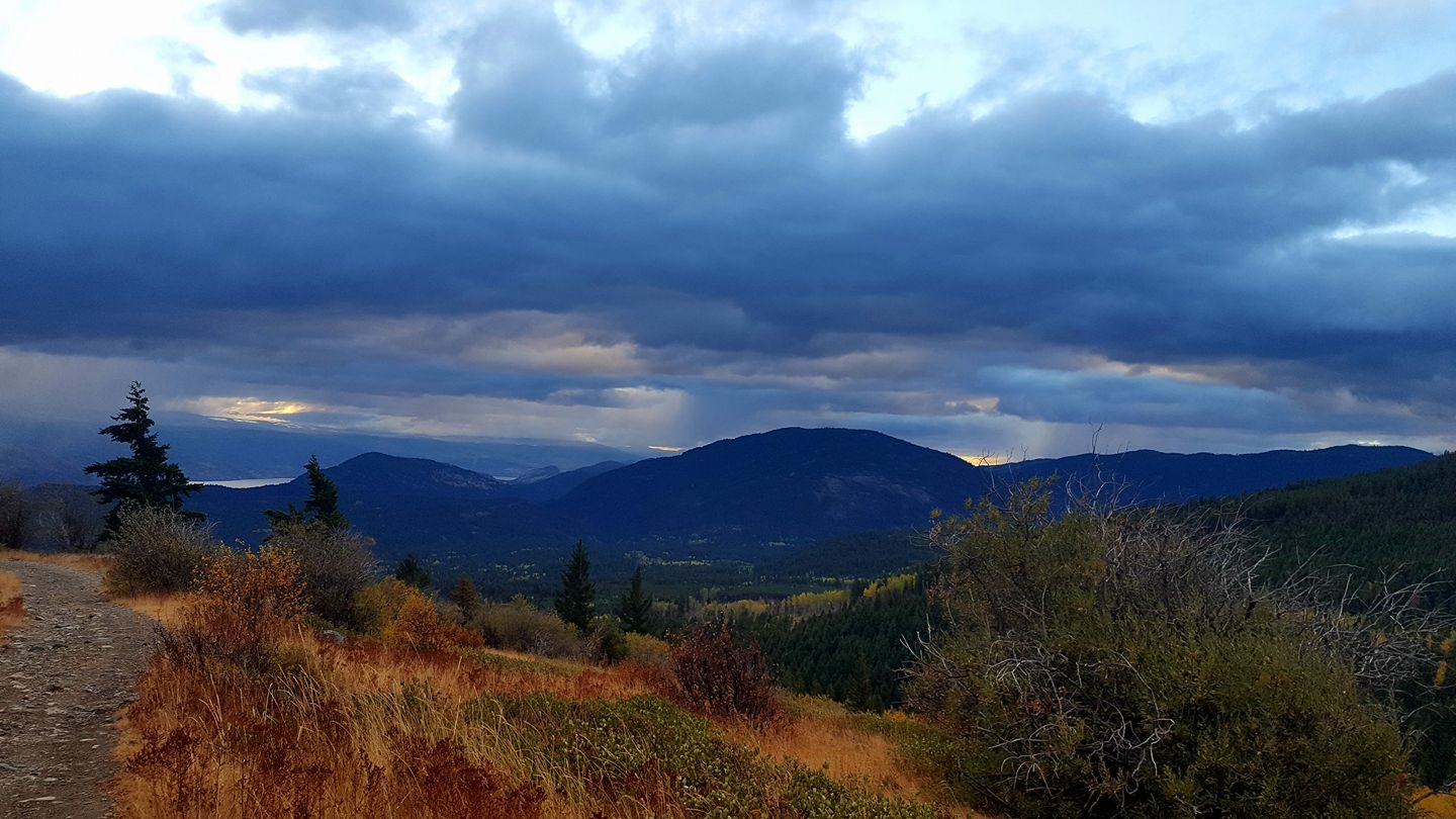 First Light …First Hunt